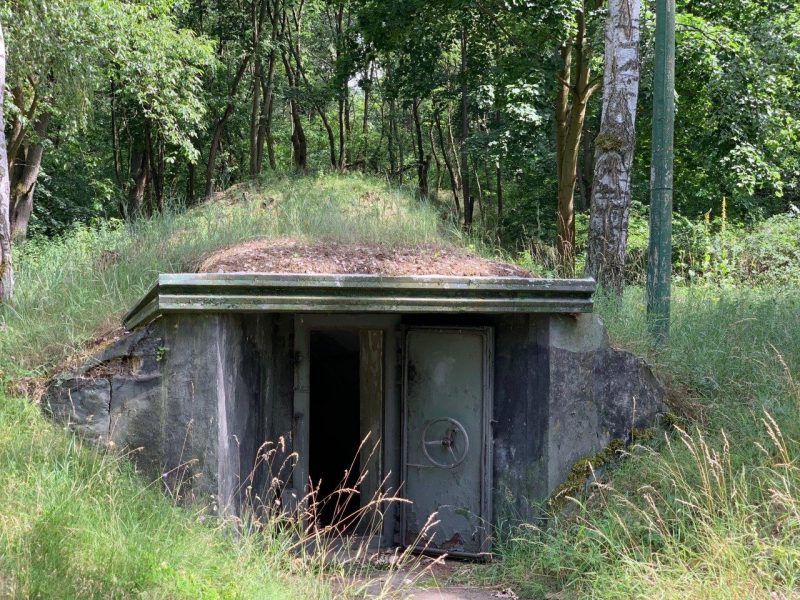 Go Easy Berlin | Exchange Programs & Travel